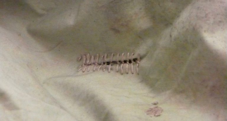 How To Patch a Canvas Tent? [EASY Step-by-Step] - TruCampers